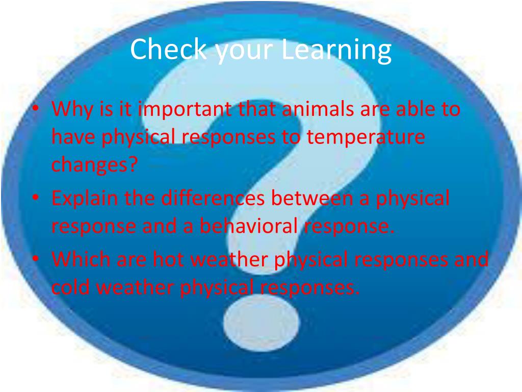 PPT - Thursday 5 December 2013 PowerPoint Presentation, free download ...