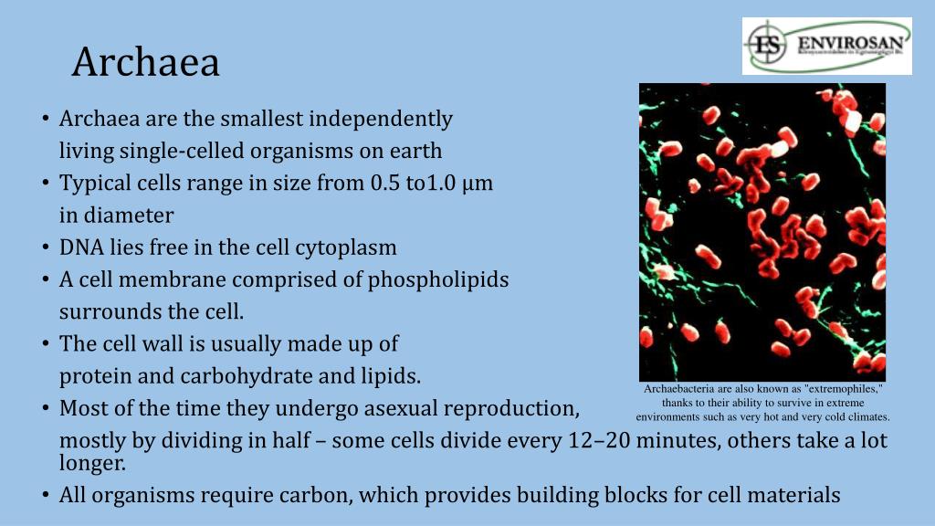 PPT - Industrial use of archaea for integrated Pollution Control-Waste ...