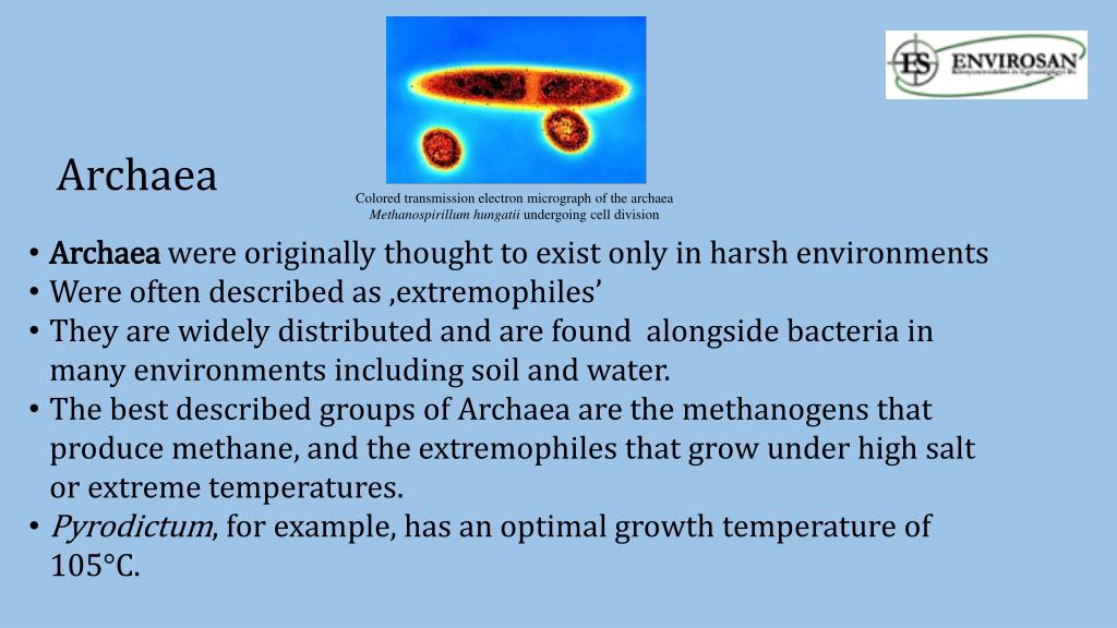 PPT - Industrial use of archaea for integrated Pollution Control-Waste ...