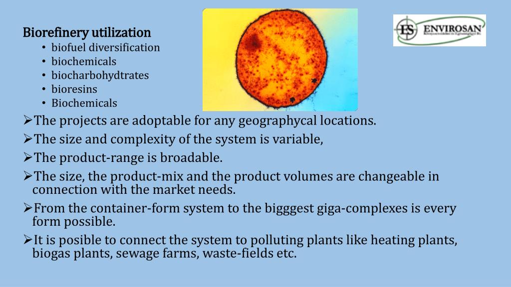 PPT - Industrial use of archaea for integrated Pollution Control-Waste ...