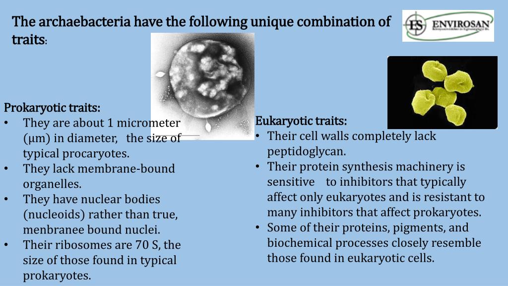 PPT - Industrial use of archaea for integrated Pollution Control-Waste ...