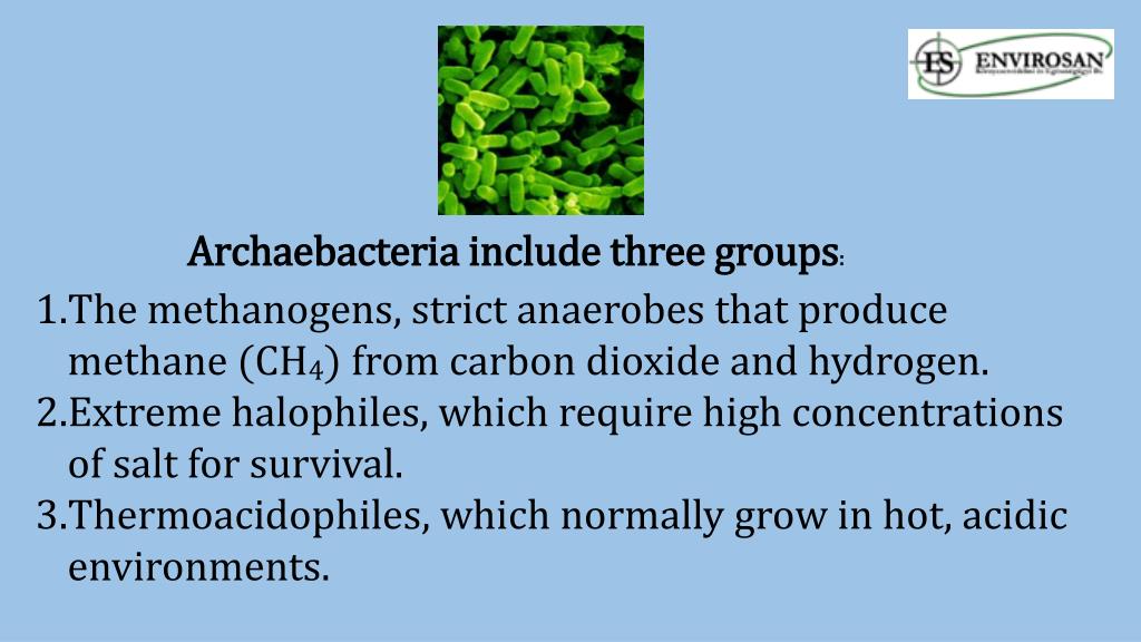 PPT - Industrial use of archaea for integrated Pollution Control-Waste ...