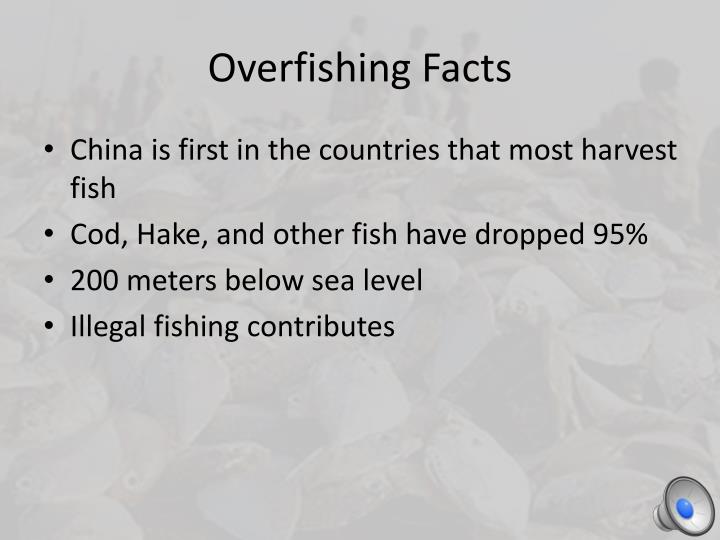PPT - The State of the Oceans PowerPoint Presentation - ID:1623044