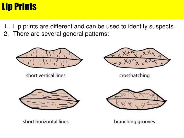 PPT - Trace Evidence PowerPoint Presentation - ID:1623425
