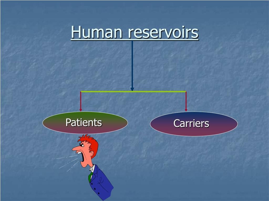 Types Of Human Reservoir at Shelley Siegel blog