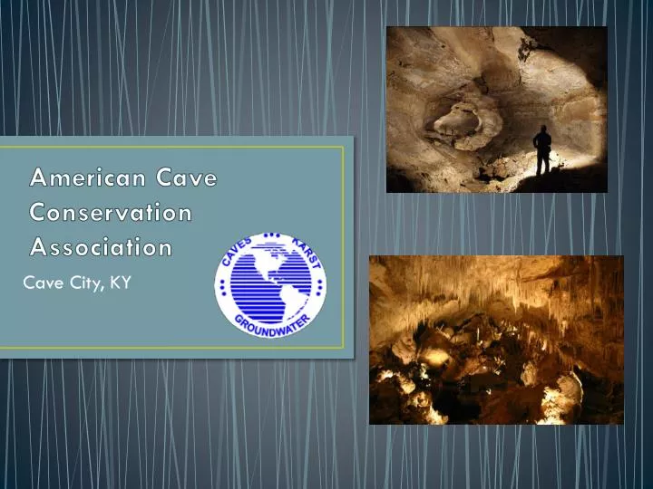 PPT - American Cave Conservation Association PowerPoint Presentation ...