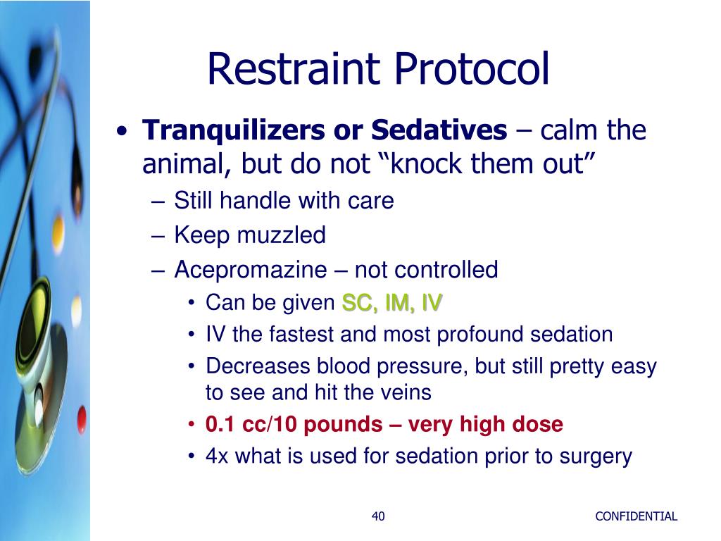 PPT - Euthanasia – SOPs and Legal Issues Presented by Wendy Blount, D.V ...