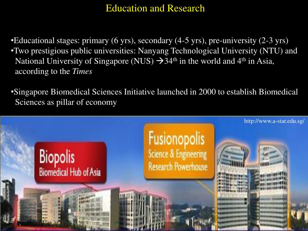 PPT - Aimen Ismail, MS-2 Medical Student Enrichment Program Summer 2011 ...