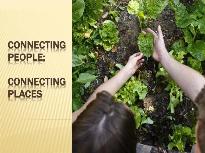 PPT - Connecting People; Connecting Places PowerPoint Presentation ...