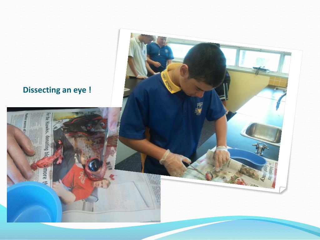 PPT - Warilla High School Support Unit Education Expo 2013 PowerPoint ...