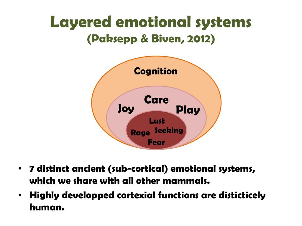 PPT - The mind meat of business ethics: Hopefully food for thought ...