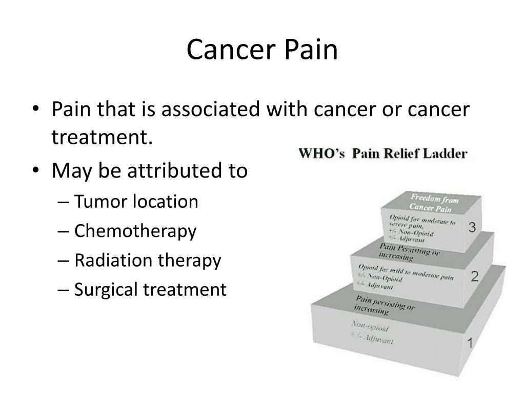 PPT - Pain Management at Stony Brook Medicine PowerPoint Presentation ...