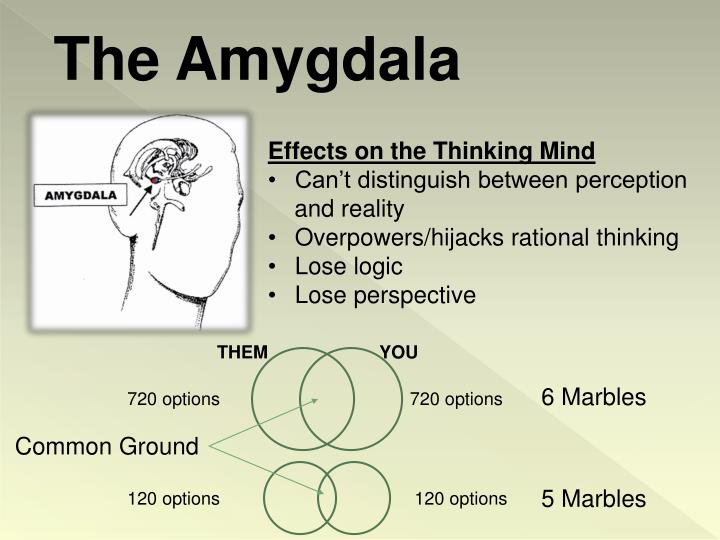 PPT - ANGER PowerPoint Presentation - ID:1634283