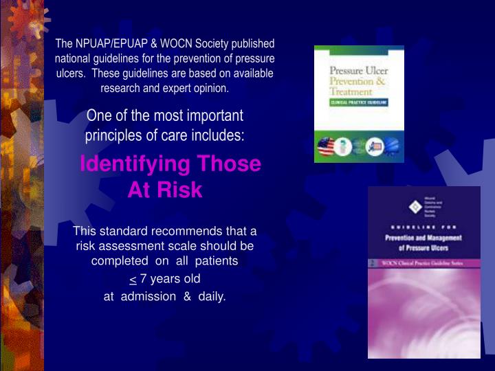 PPT - Learning Best Practice Skin Care Pressure Ulcer Risk Assessment ...