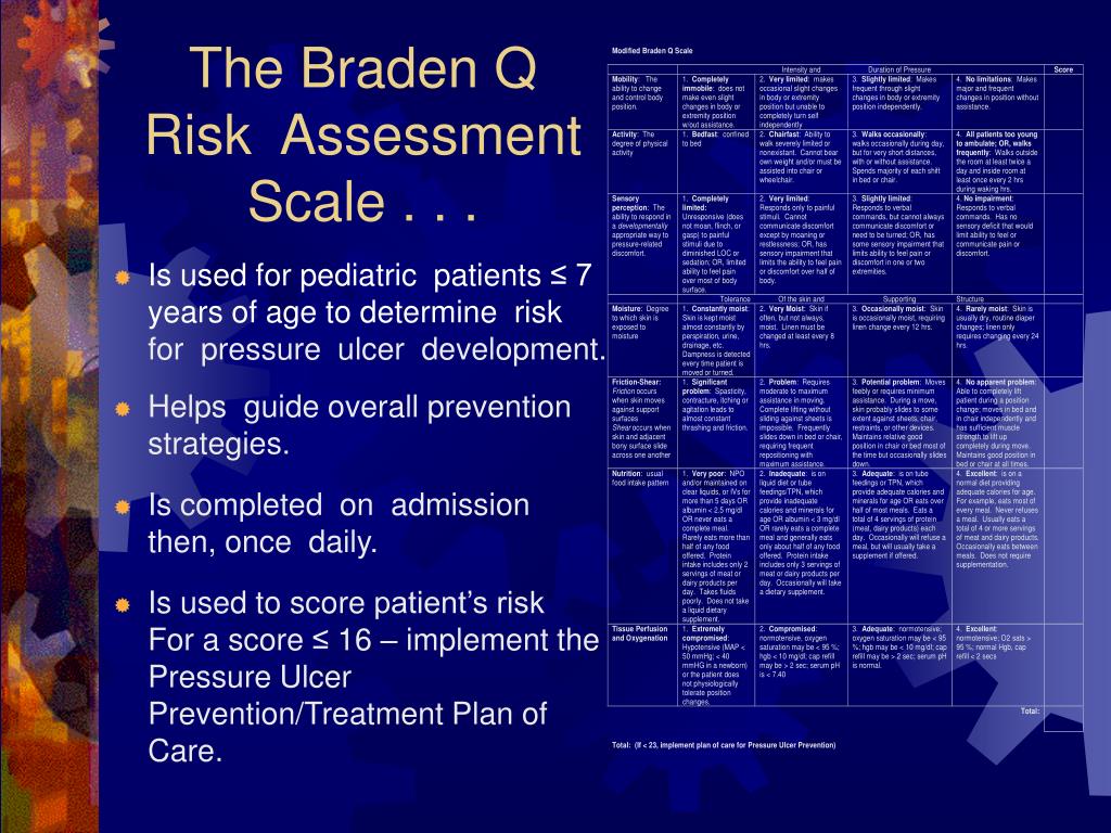 PPT - Learning Best Practice Skin Care Pressure Ulcer Risk Assessment ...