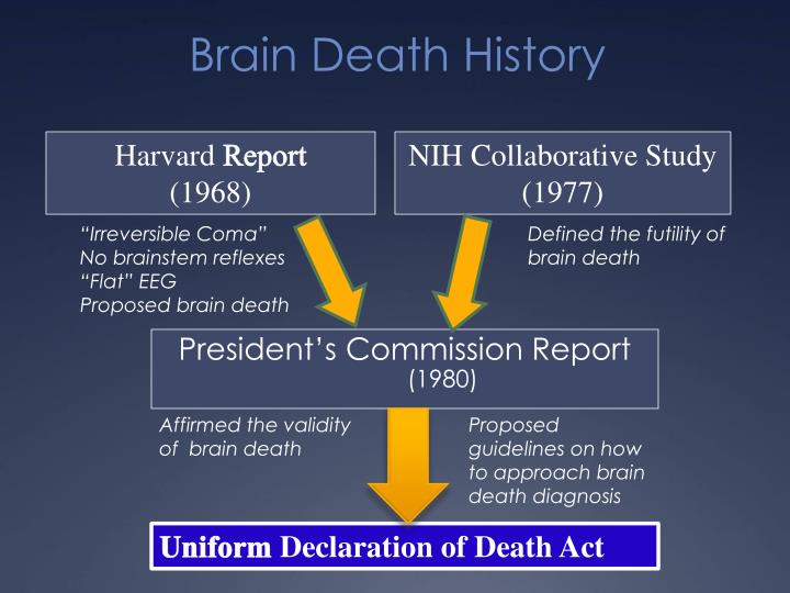 PPT - Brain Death: An Update on New Important Initiatives PowerPoint ...