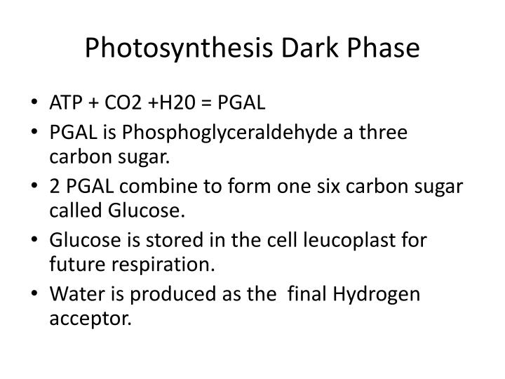 PPT - Wastewater Microbiology PowerPoint Presentation - ID:1635113