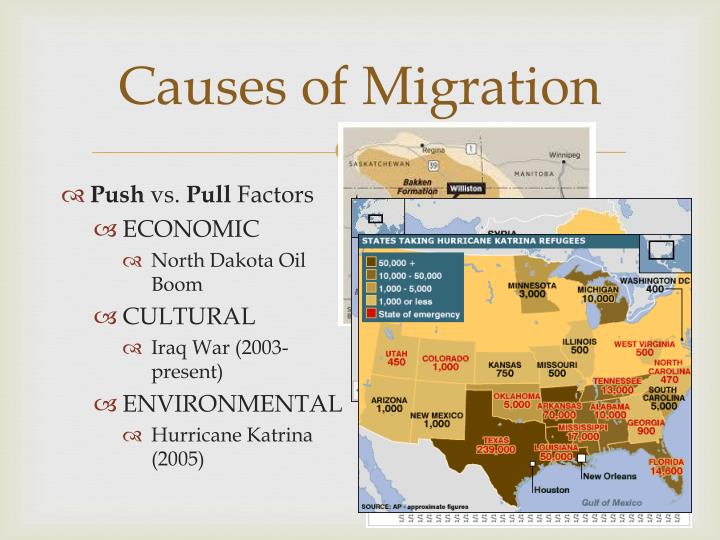 PPT - Migration PowerPoint Presentation - ID:1635253