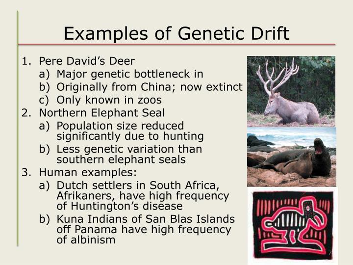 PPT - Environment 121 Lecture: Topic: Levels of Biodiversity PowerPoint ...