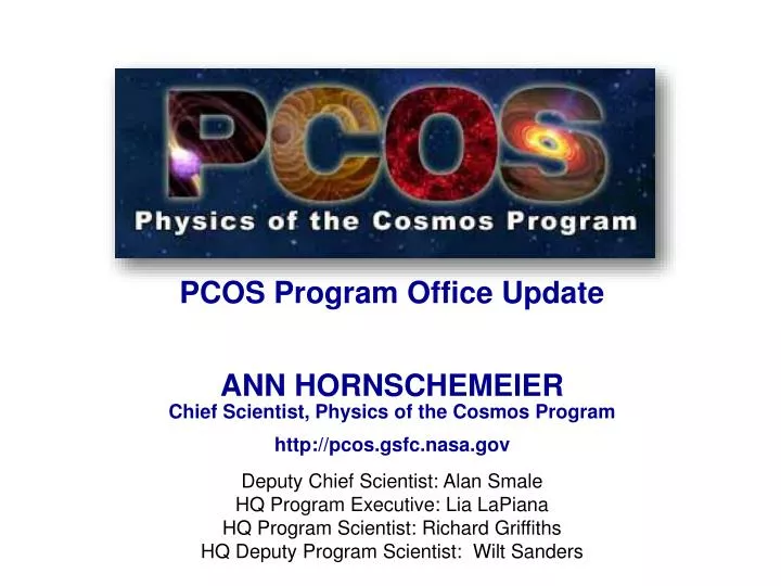 PPT - PCOS Program Office Update ANN HORNSCHEMEIER Chief Scientist ...
