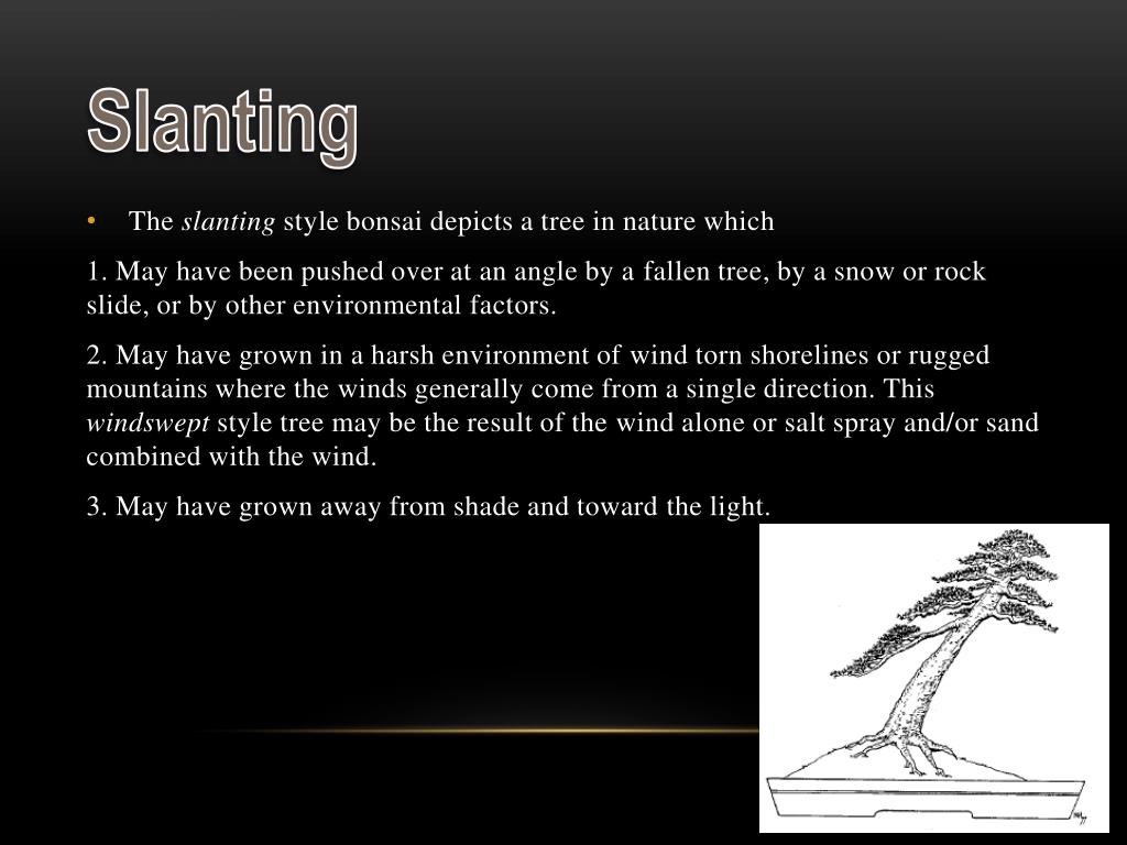 PPT - Bonsai School of Victoria PowerPoint Presentation, free download ...