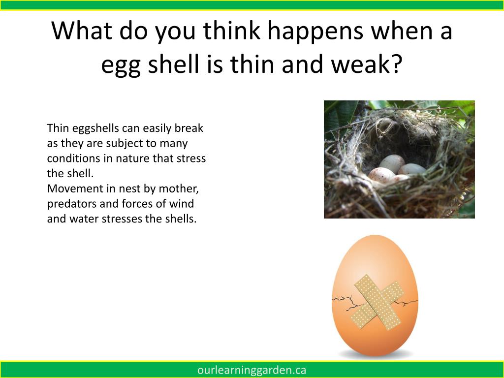 PPT - Our Learning Garden - Grade 8 Lesson 1-4 Sacred Soil and ...