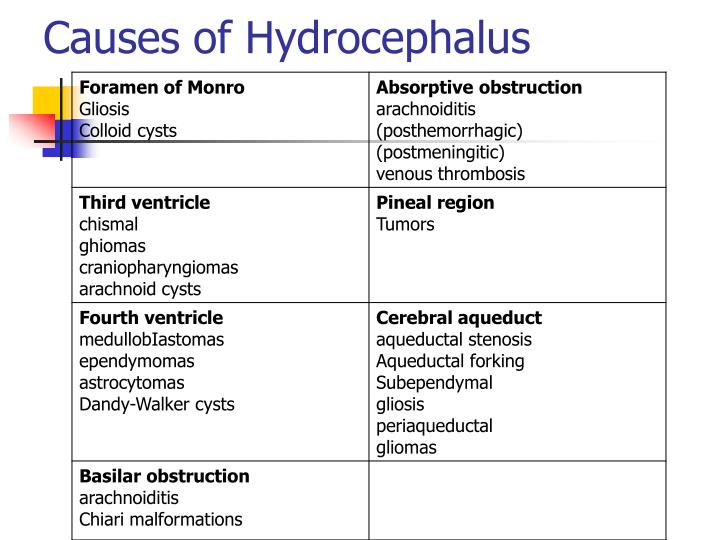 PPT - TREATMENT OF HYDROCEPHALUS (SHUNT PHYSIOLOGY AND PREVENTION OF ...