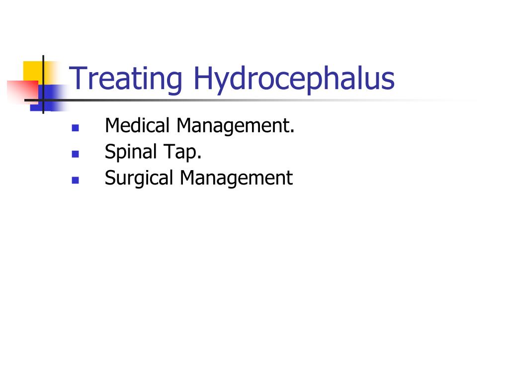 PPT - TREATMENT OF HYDROCEPHALUS (SHUNT PHYSIOLOGY AND PREVENTION OF ...