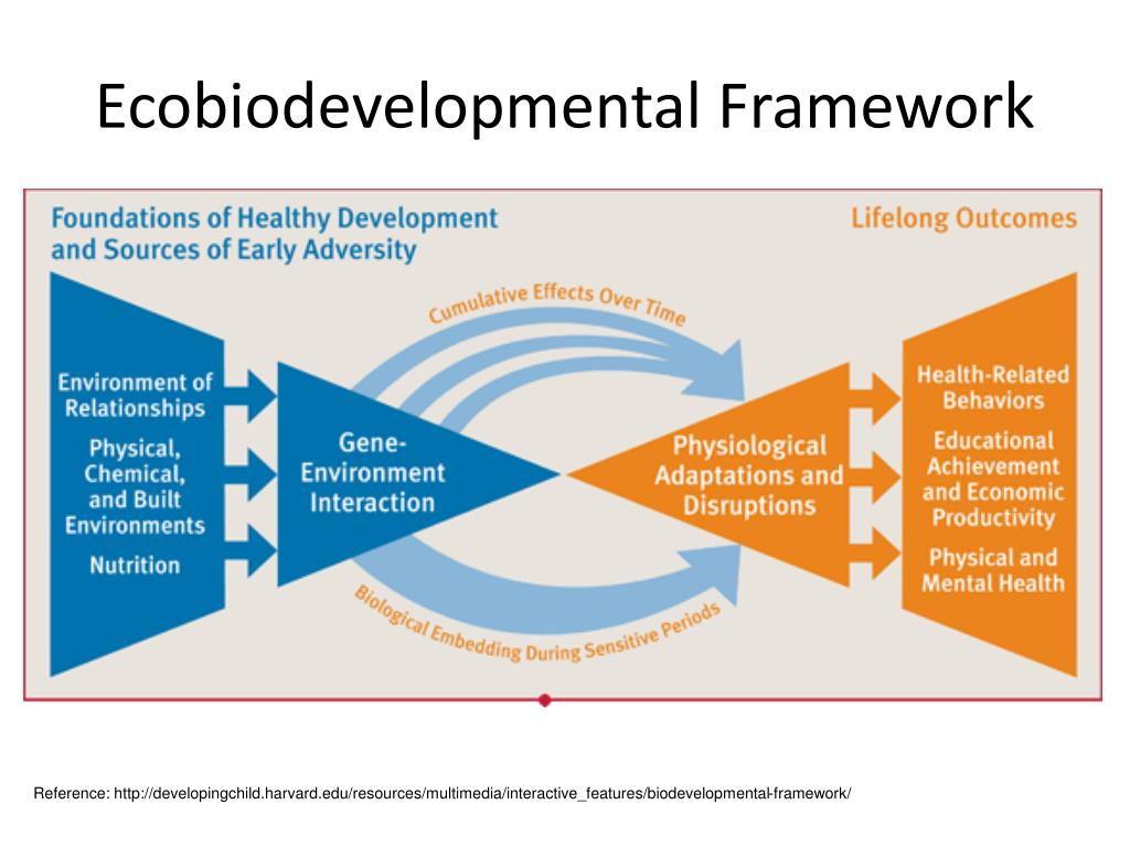 PPT - Toxic Stress in Early Childhood 31 st Annual Kansas Division for ...