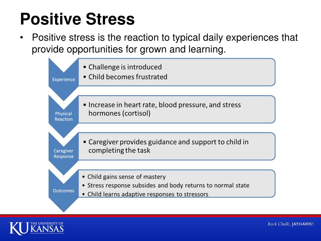 PPT - Toxic Stress in Early Childhood 31 st Annual Kansas Division for ...