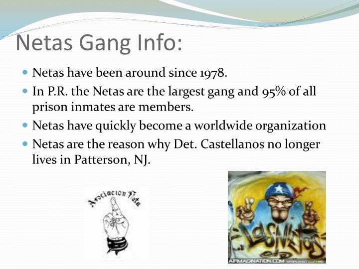 PPT - Gang Awareness Workshop PowerPoint Presentation - ID:1638722