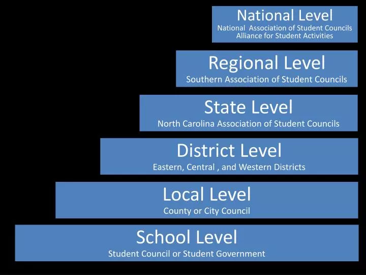 PPT - Local Level County or City Council PowerPoint Presentation, free ...