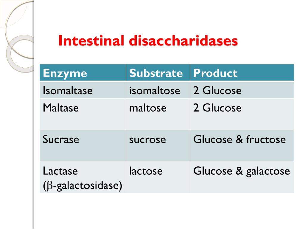 PPT - Biochemical Aspects of Digestion of Proteins & Carbohydrates ...