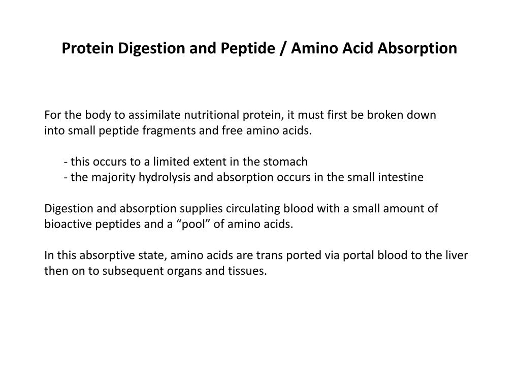 PPT - Protein Digestion and Peptide / Amino Acid Absorption PowerPoint ...
