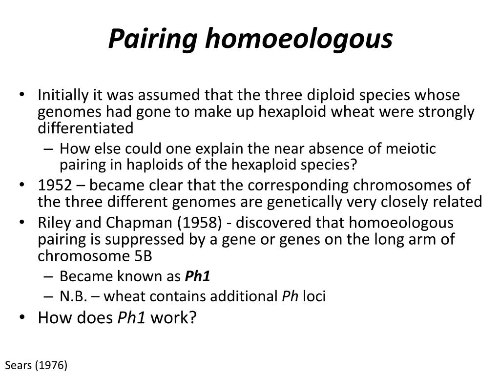PPT - The Ph Locus and the rise of bread wheat Dr Glyn Jenkins ...