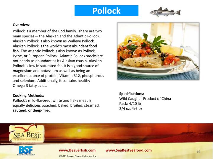 PPT - Seafood 101 Guide PowerPoint Presentation - ID:1641503