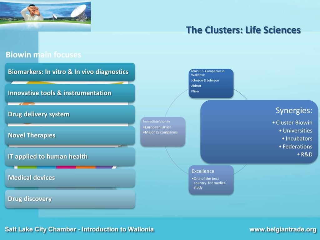PPT - Region of Wallonia : A Land of Opportunities PowerPoint ...
