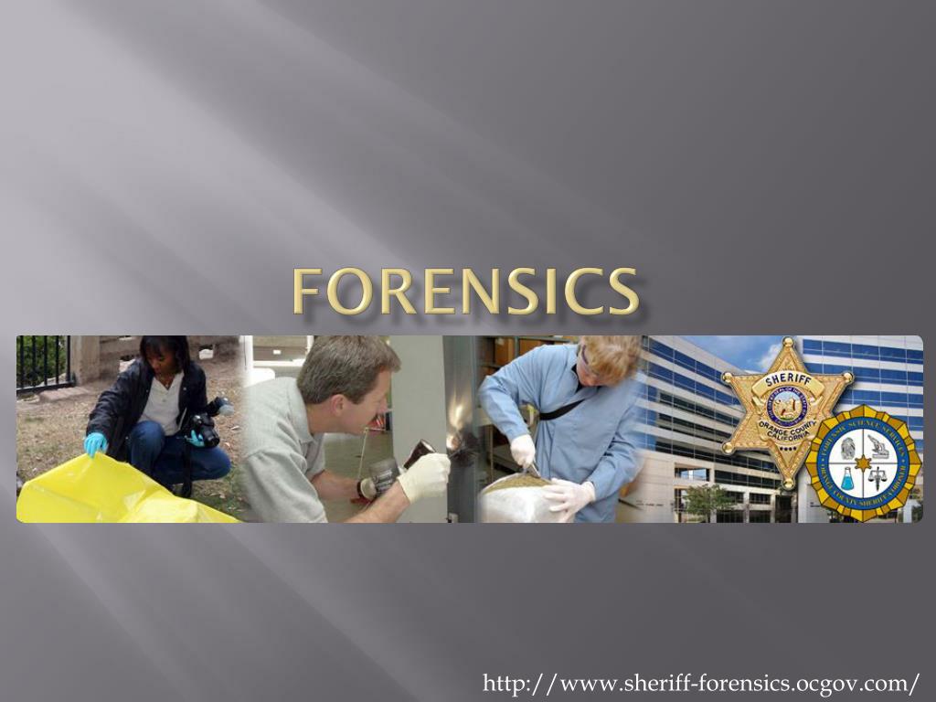 PPT - Career Spotlight Law Enforcement PowerPoint Presentation, free ...