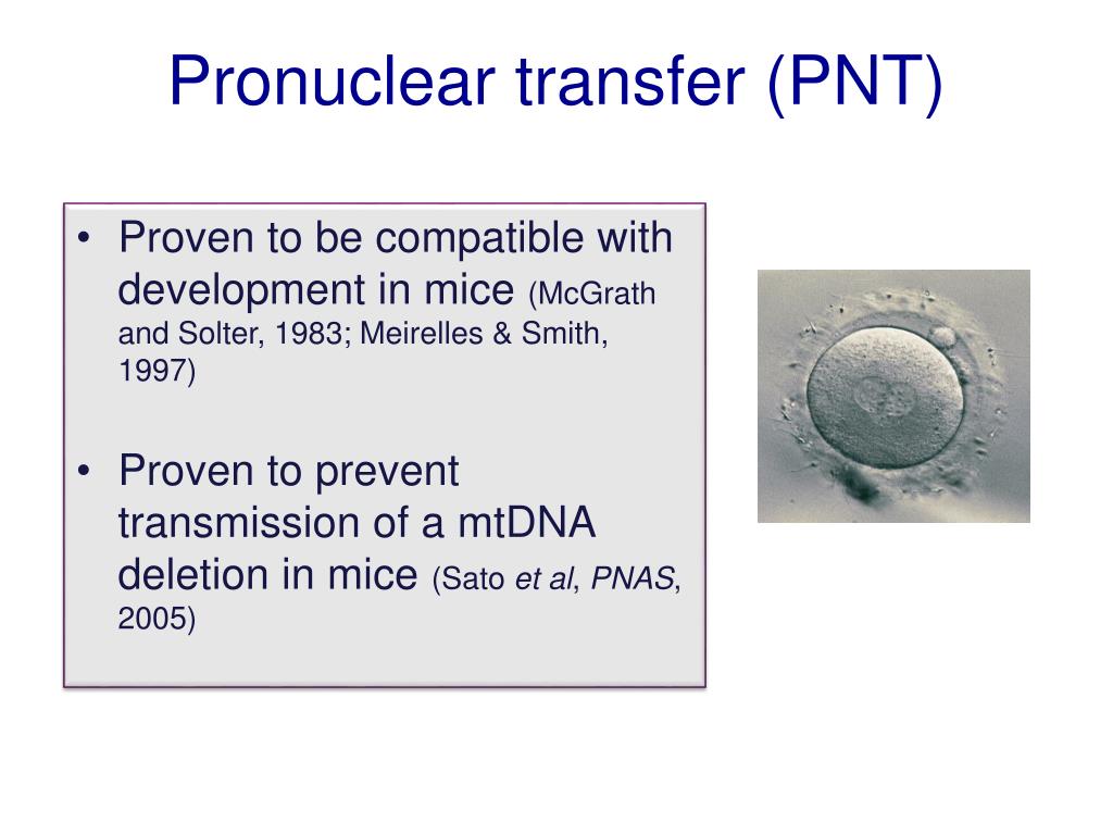PPT - Potential of new reproductive technologies in reducing the risk ...