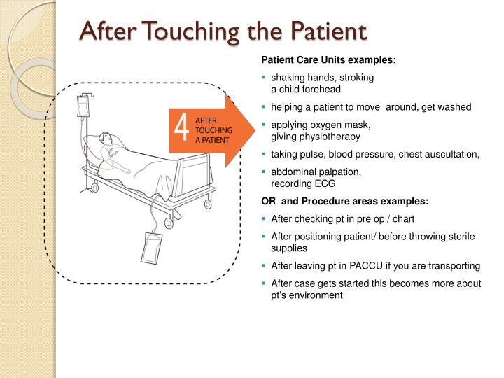 PPT - World Health Organization (WHO) 5 Moments and Hand Hygiene ...