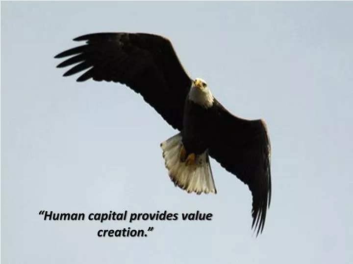 PPT - “Human capital provides value creation.” PowerPoint Presentation ...