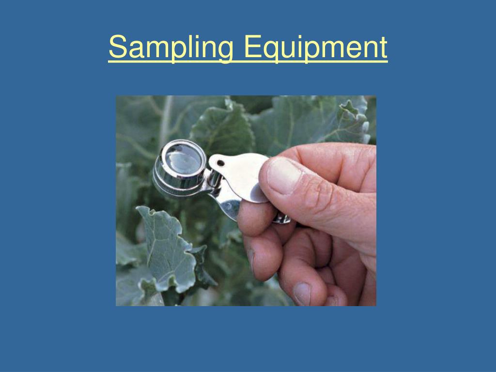 PPT - Insect Control in the Organic Vegetable Garden PowerPoint ...