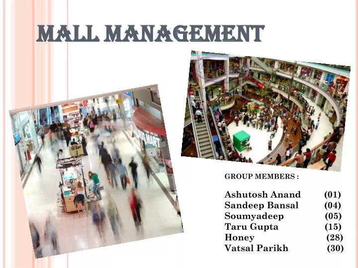 PPT - MALL MANAGEMENT PowerPoint Presentation, free download - ID:1646965