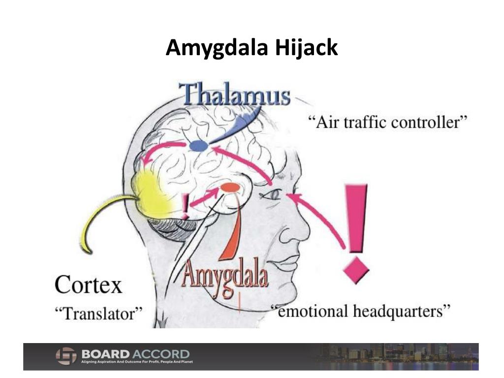 PPT - The Emotionally Intelligent Director Emotions drive people ...