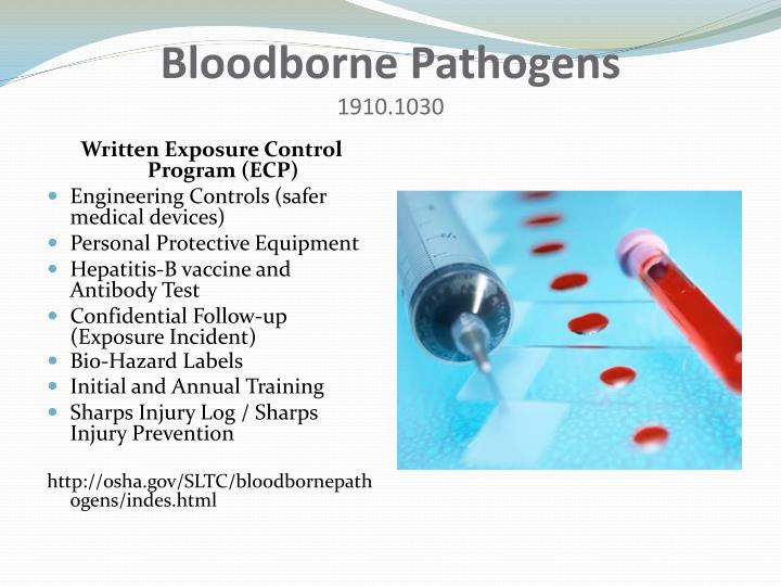 Osha bloodborne pathogens quiz answers - lasopaortho