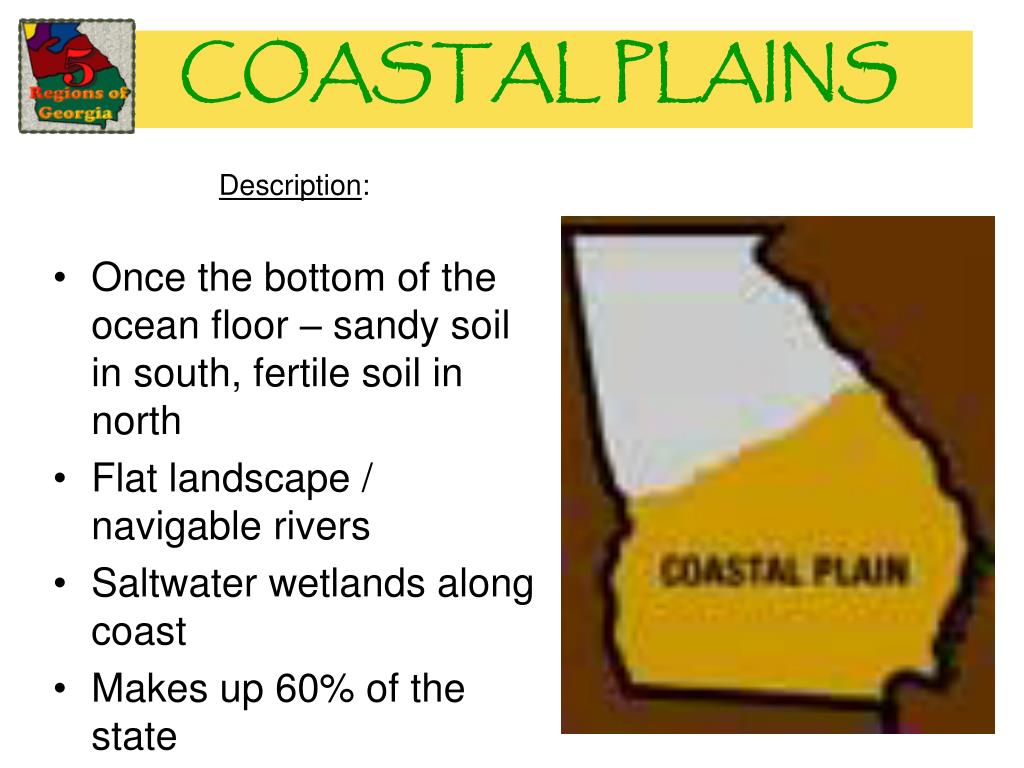 PPT - UNIT 1 Georgia Geography and the Prehistoric Period PowerPoint ...