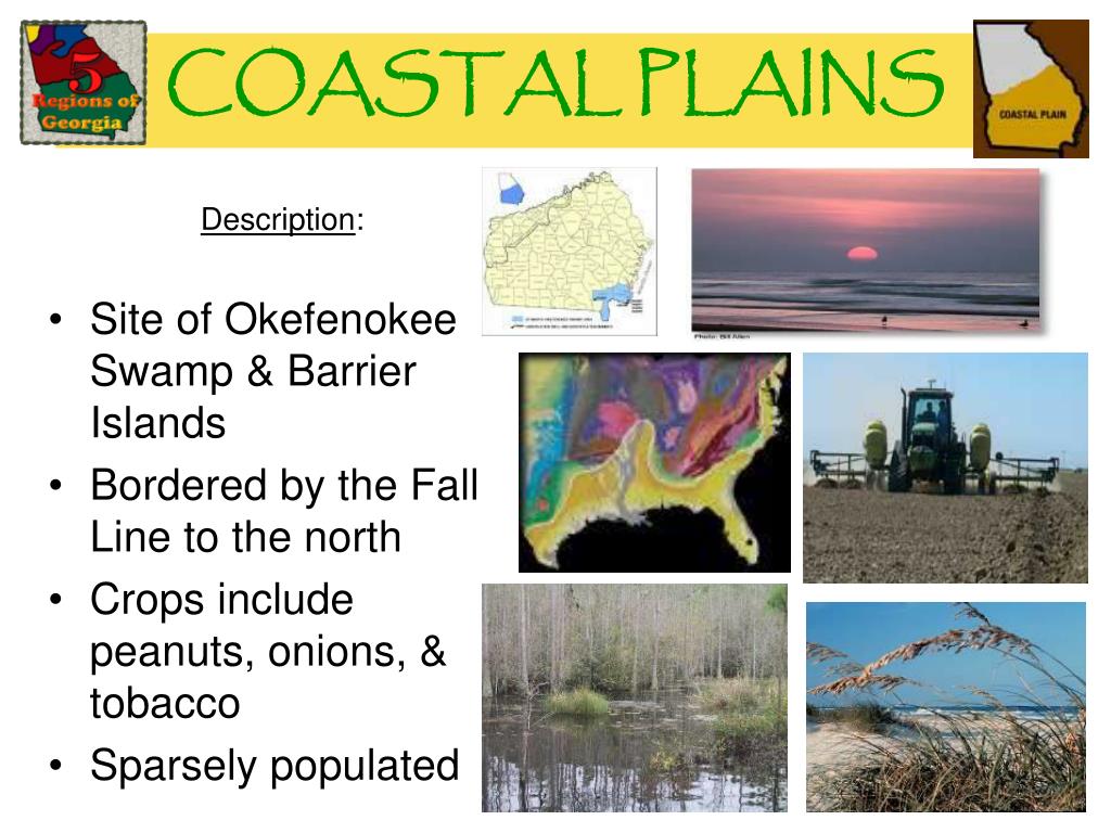 PPT - UNIT 1 Georgia Geography and the Prehistoric Period PowerPoint ...