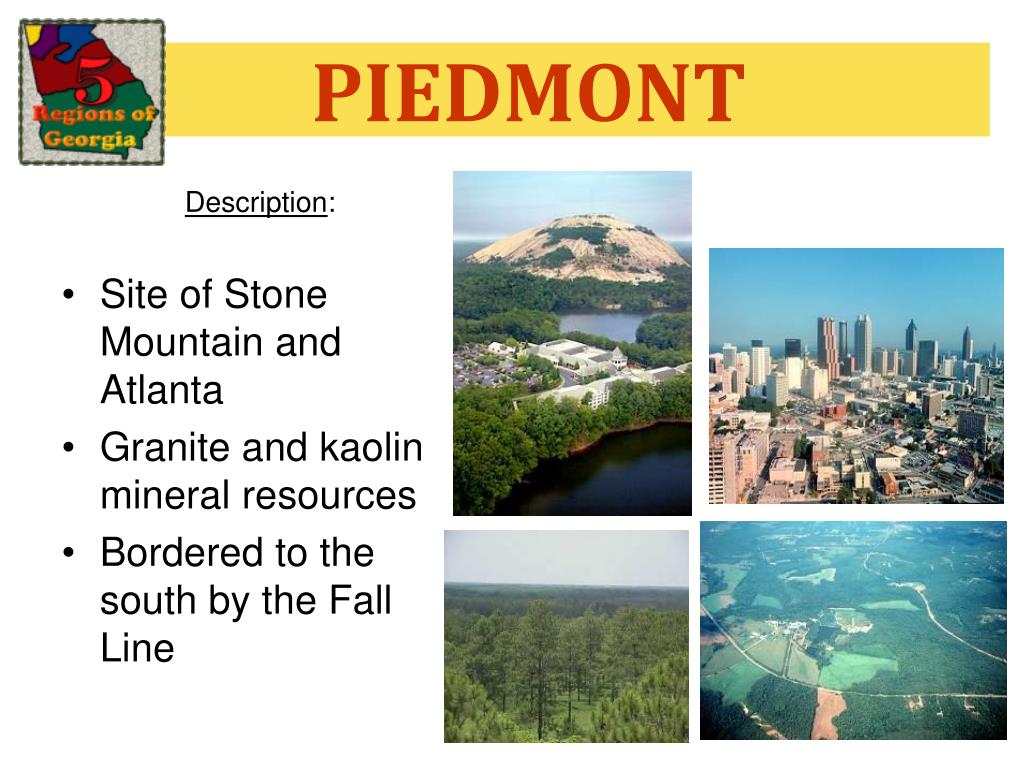 PPT - UNIT 1 Georgia Geography and the Prehistoric Period PowerPoint ...