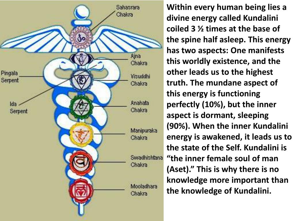 PPT - HOLY ORGASM THE SCIENCE OF SEX , THE ART OF HOLISTIC HEALING AND ...