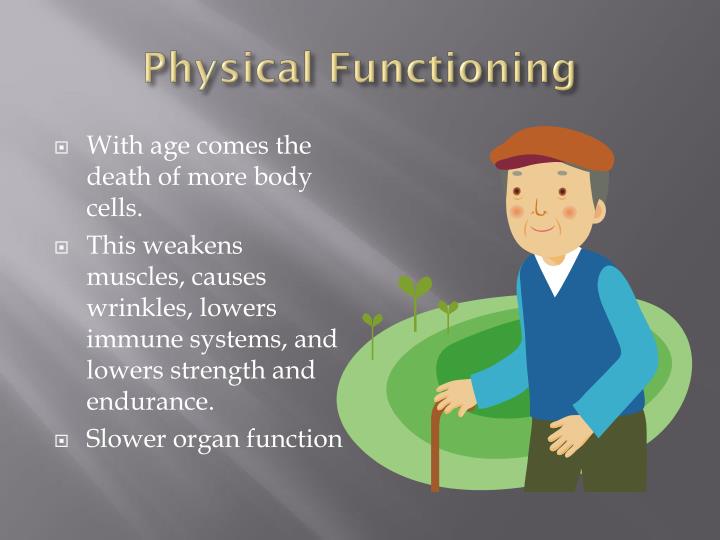 PPT - Early & Middle Adulthood PowerPoint Presentation - ID:1655654